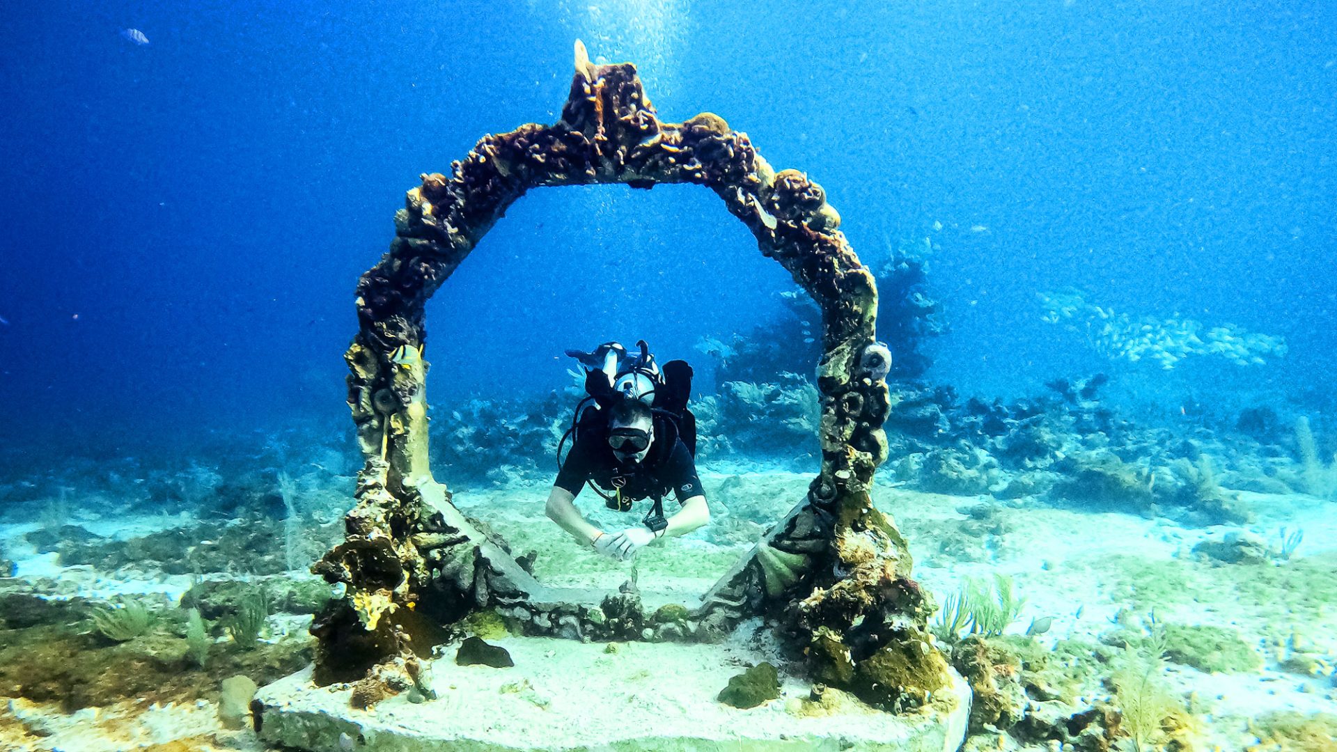 Double Down Divers - Where Water Turns Into Adventure!