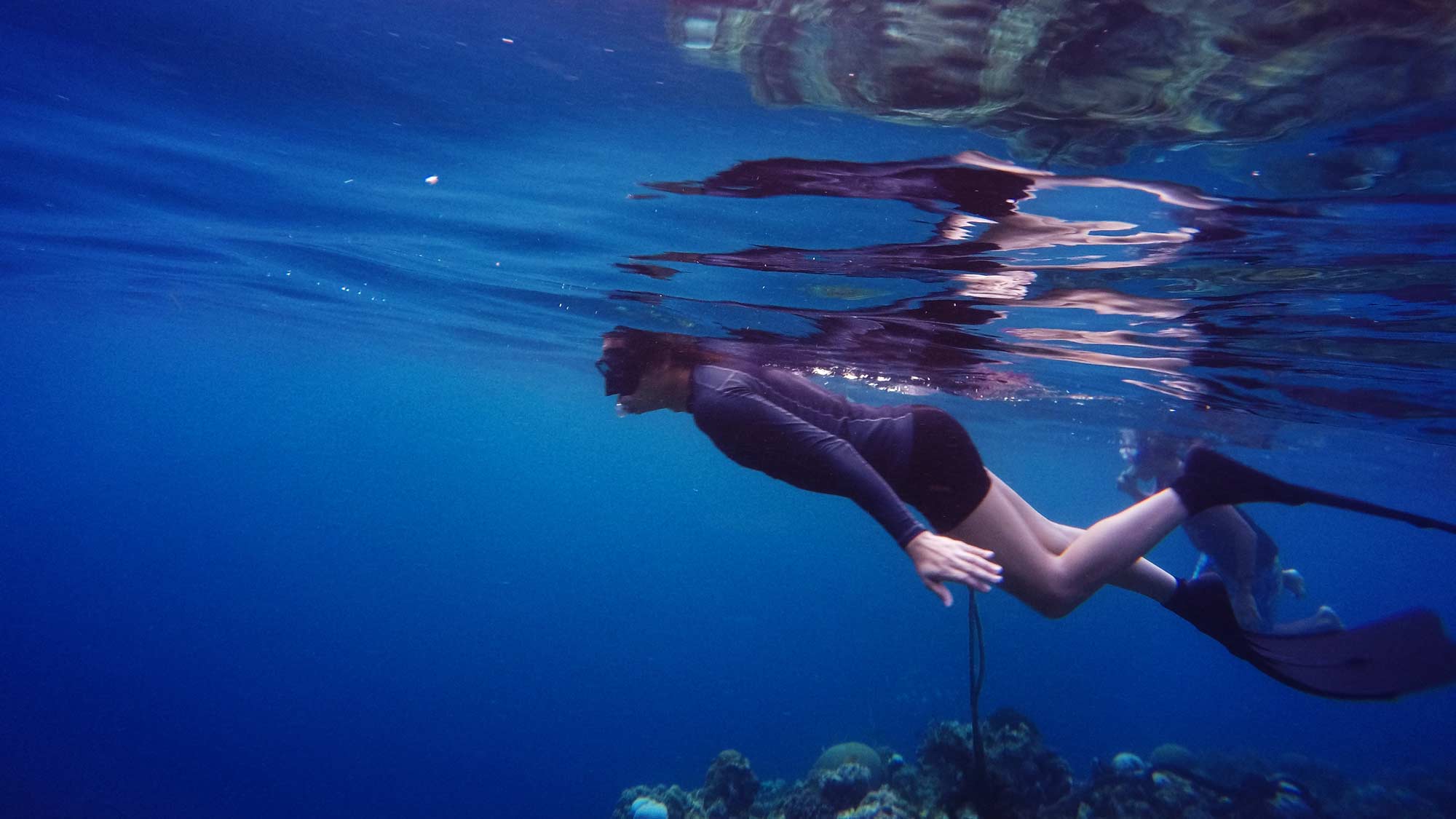 Contact - Double Down Divers